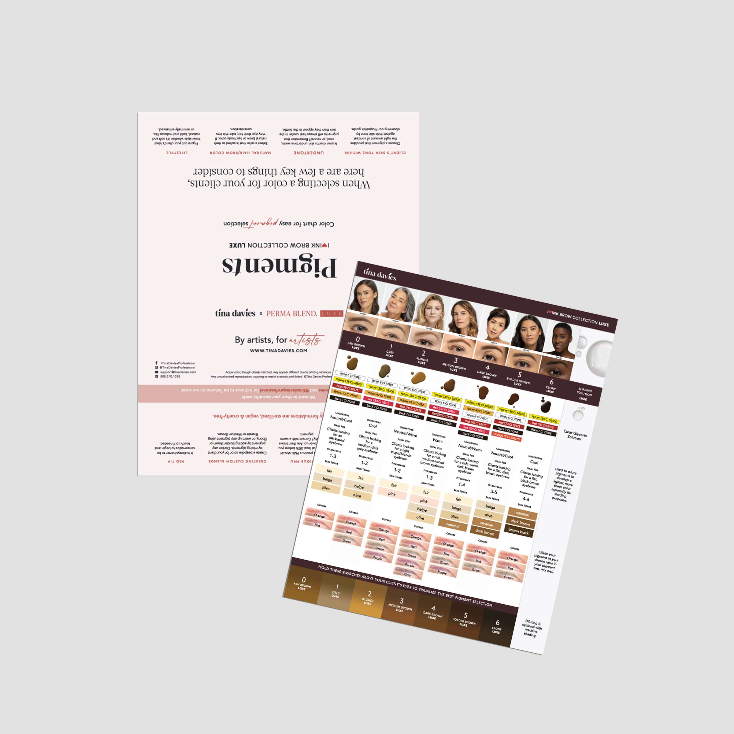 Tina Davies I ️ INK Brow Pigment Collection LUXE Color Chart
