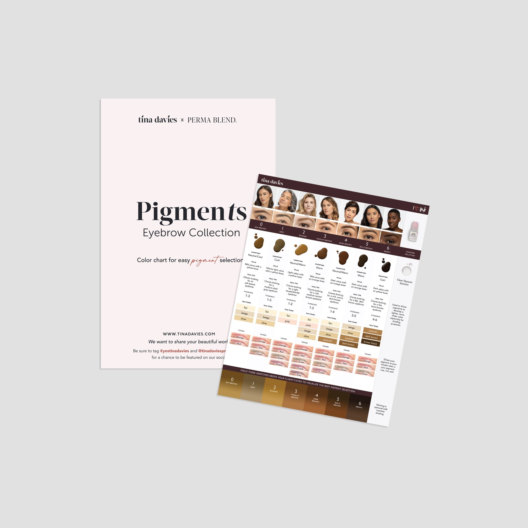 Tina Davies I ️ INK Brow Color Chart - Color Selection Guide